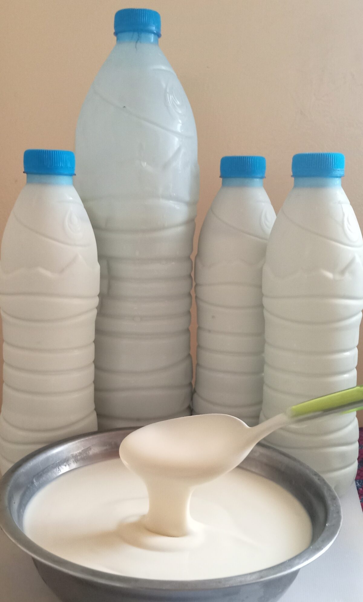 Recette du kossam ou lait caillé - ANIDEVA