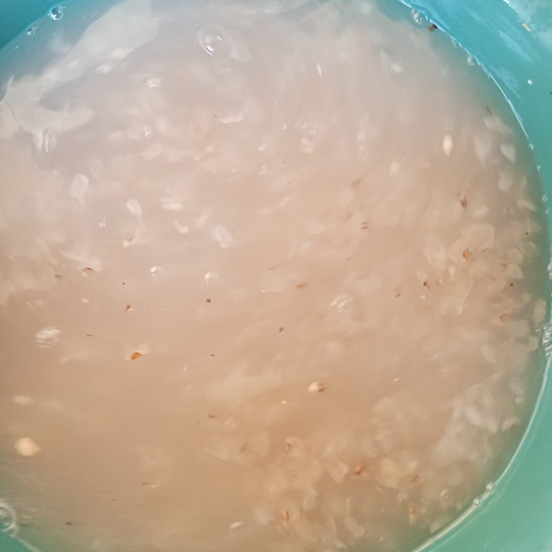 Recette du koki - ANIDEVA