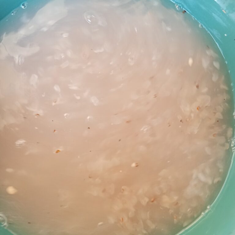 Recette du koki - ANIDEVA