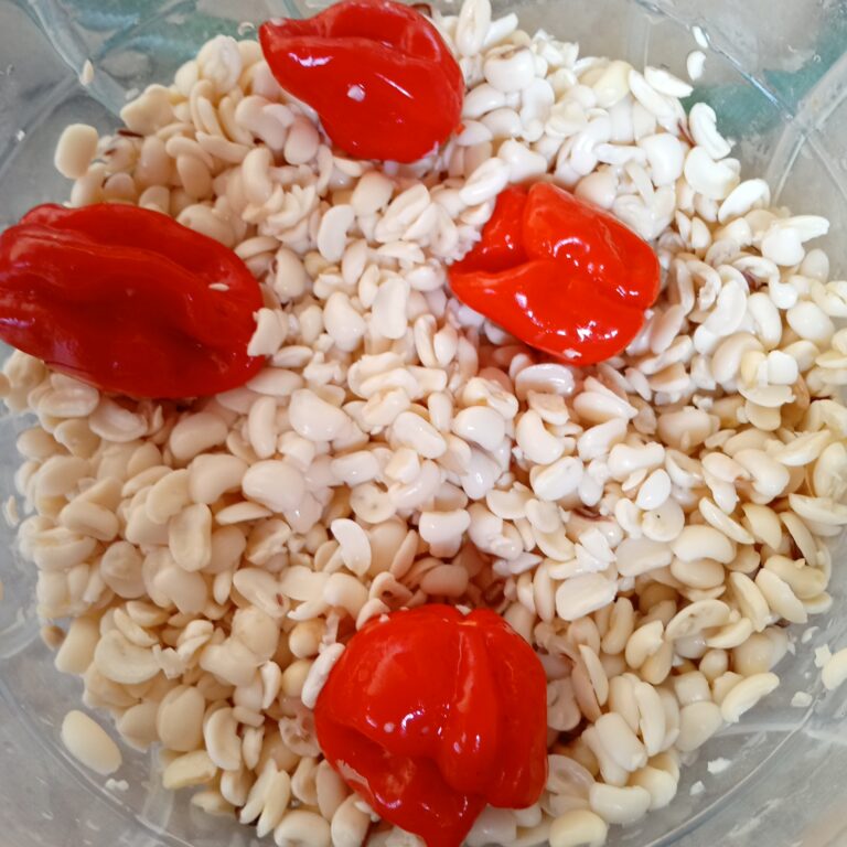 Recette du koki - ANIDEVA