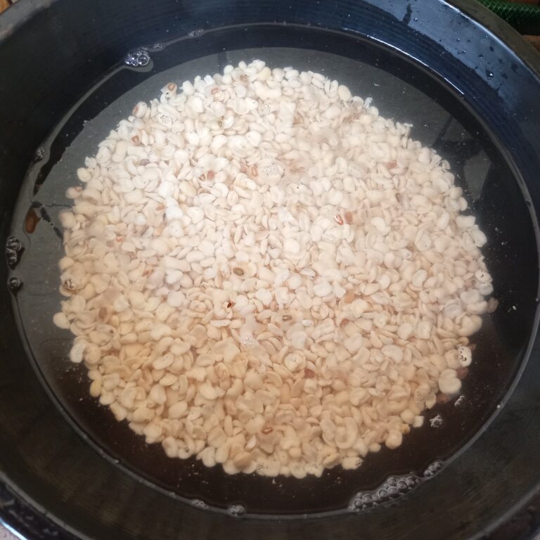 Recette du koki - ANIDEVA